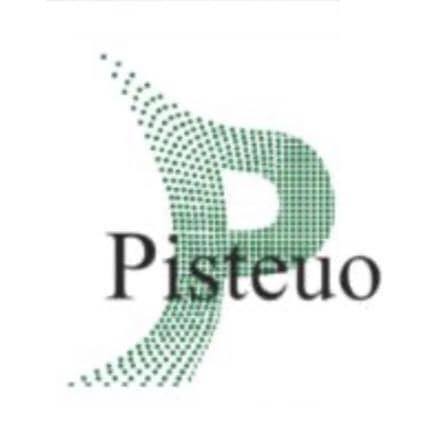 pisteuo_logo | Pisteuo Advisory